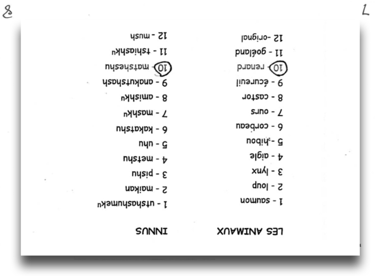 MATHÉMATIQUE – ARTS VISUELS / Mesure – Collage – 1er cycle du primaire ...