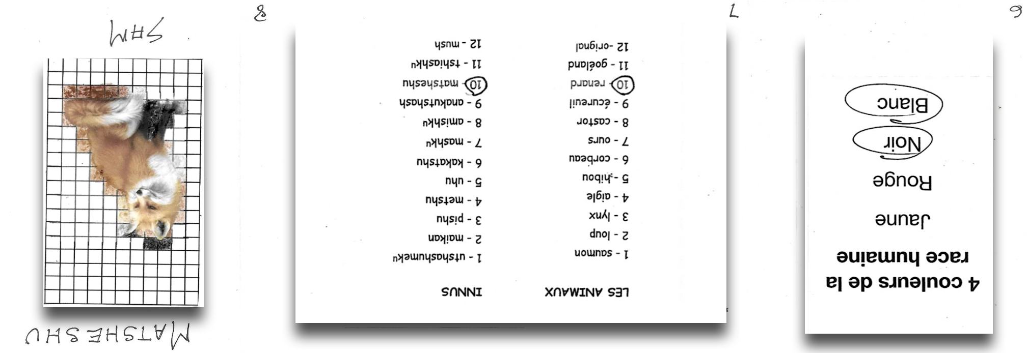MATHÉMATIQUE – ARTS VISUELS / Mesure – Collage – 1er cycle du primaire ...