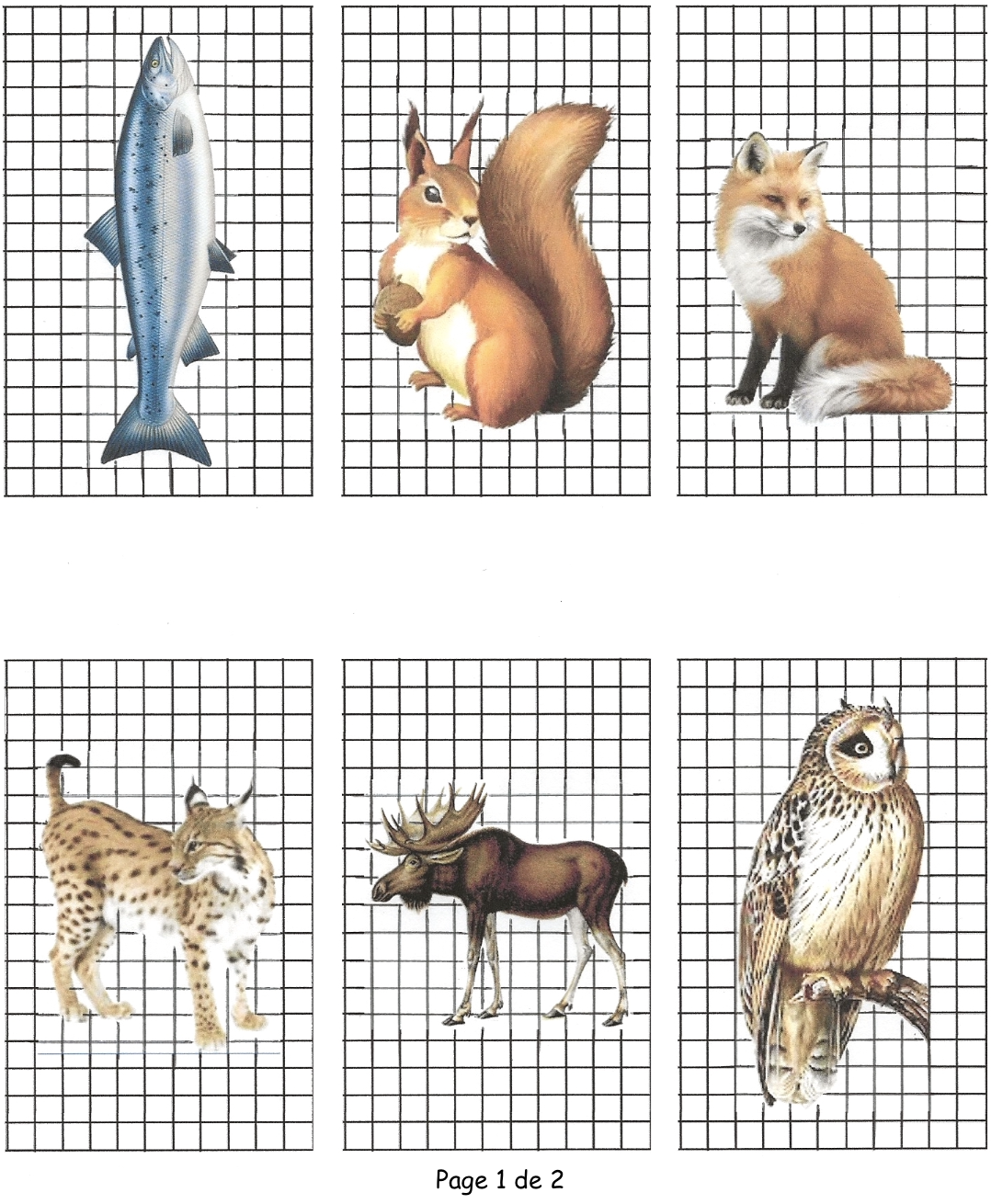 MATHÉMATIQUE – ARTS VISUELS / Mesure – Collage – 1er cycle du primaire ...